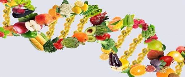 Alimentazione e nutrizione: che differenza c’è? - HEBE